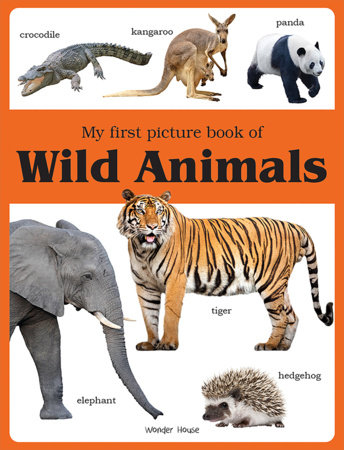 My First Picture Book of Wild Animals by Wonder House Books ...