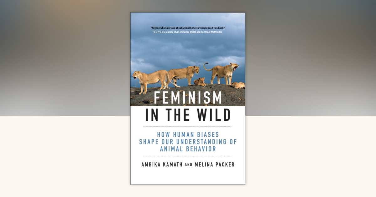 Feminism in the Wild by Ambika Kamath, Melina Packer: 9780262049634 ...