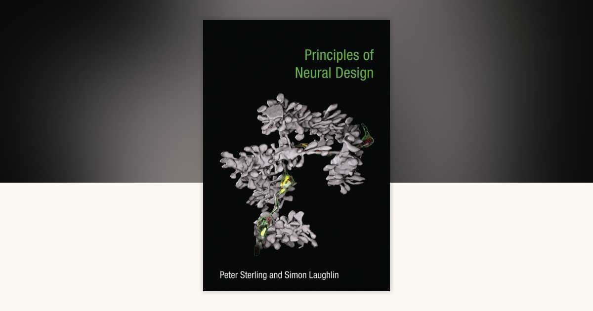 Principles of Neural Design by Peter Sterling, Simon Laughlin ...