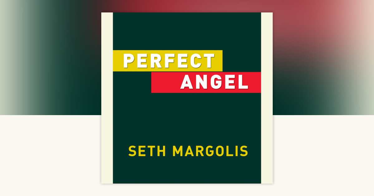 Perfect Angel by Seth Margolis: 9780307734822 | PenguinRandomHouse.com ...