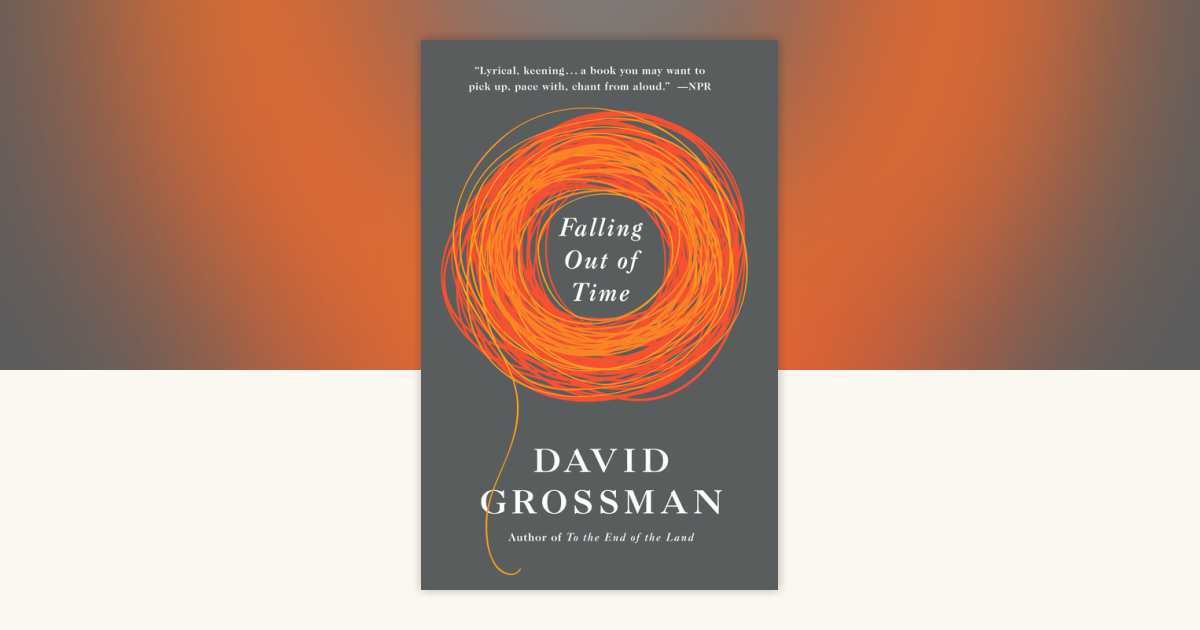 Falling Out of Time by David Grossman: 9780345805850 ...