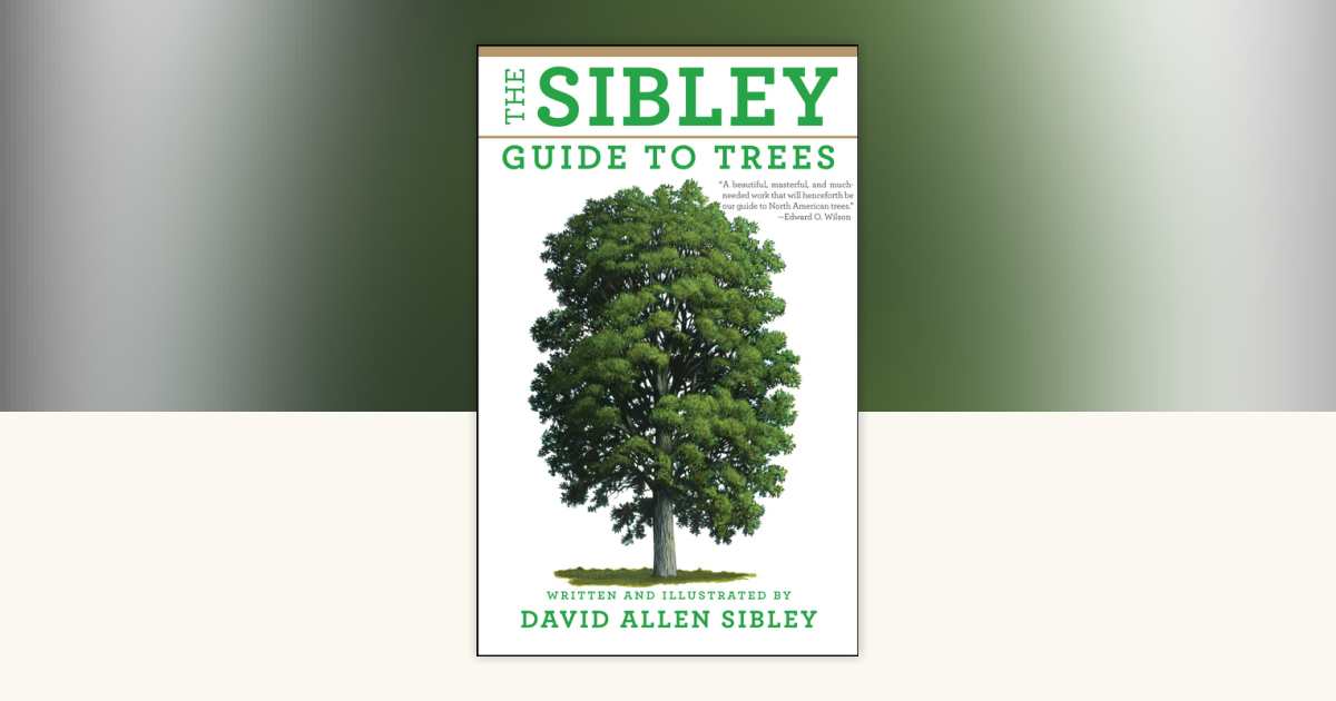 The Sibley Guide to Trees by David Allen Sibley: 9780375415197 ...