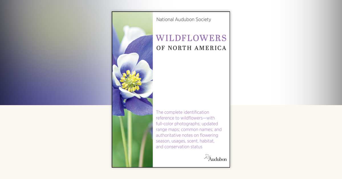 National Audubon Society Wildflowers of North America by National ...