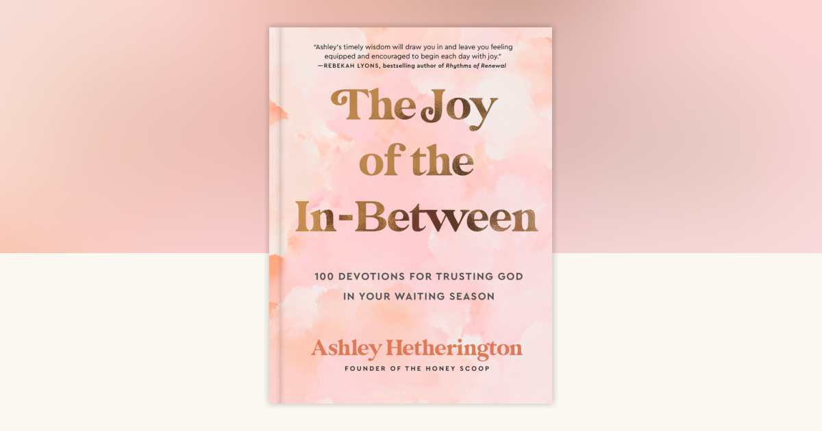 The Joy of the In-Between by Ashley Hetherington: 9780593600696 ...