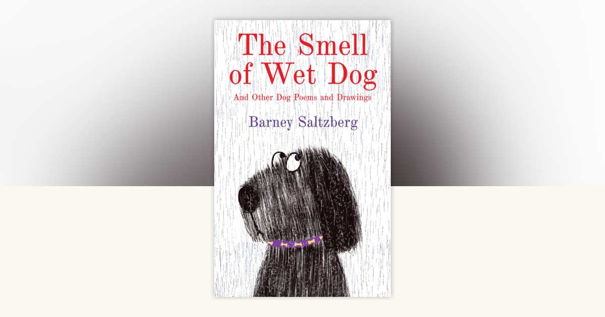 The Smell of Wet Dog by Barney Saltzberg: 9780823456390 ...