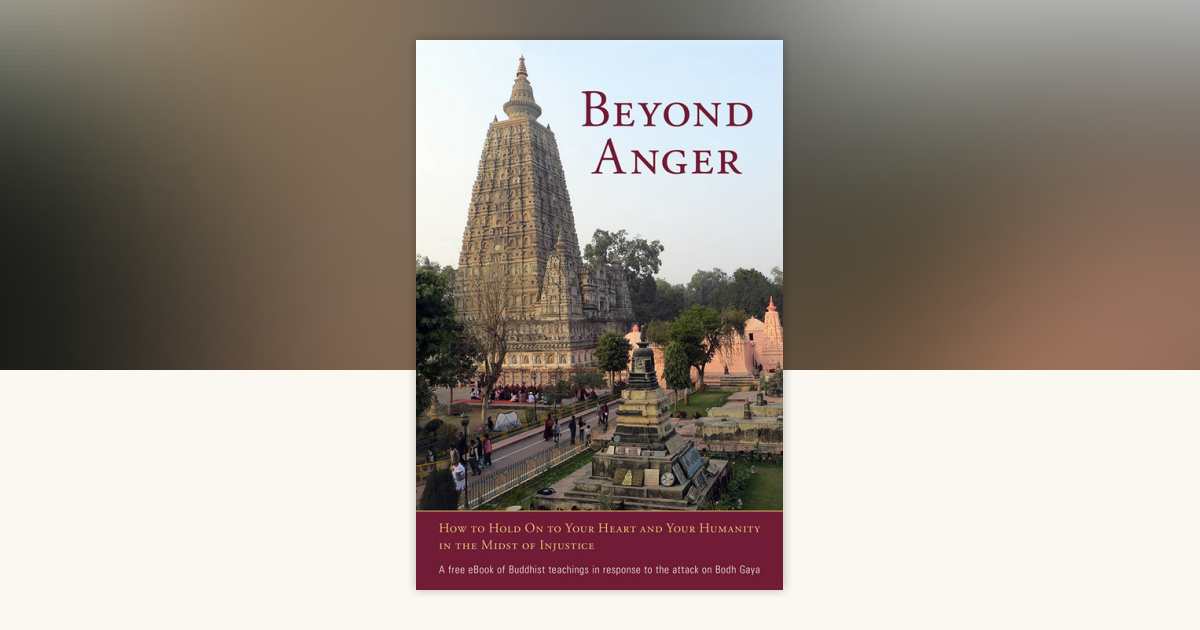 Beyond Anger: 9780834829541 | PenguinRandomHouse.com: Books