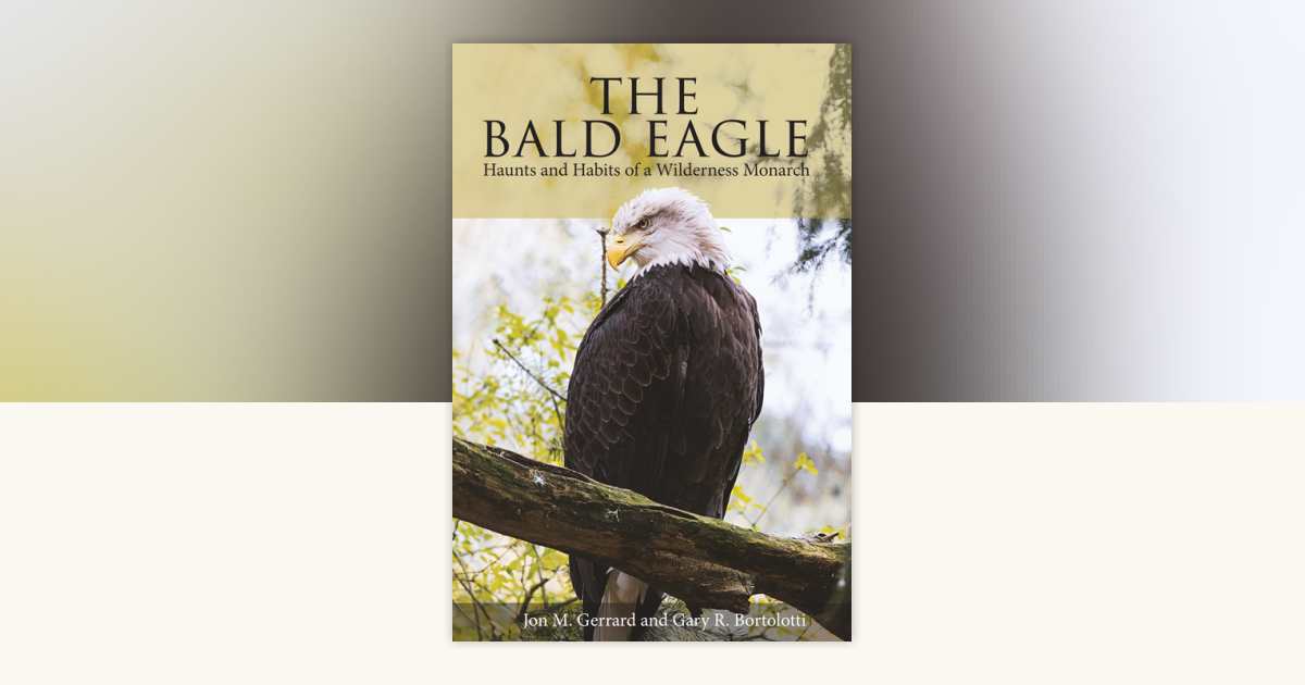 The Bald Eagle by Jon M. Gerrard, Gary R. Bortolotti: 9780874744514 ...