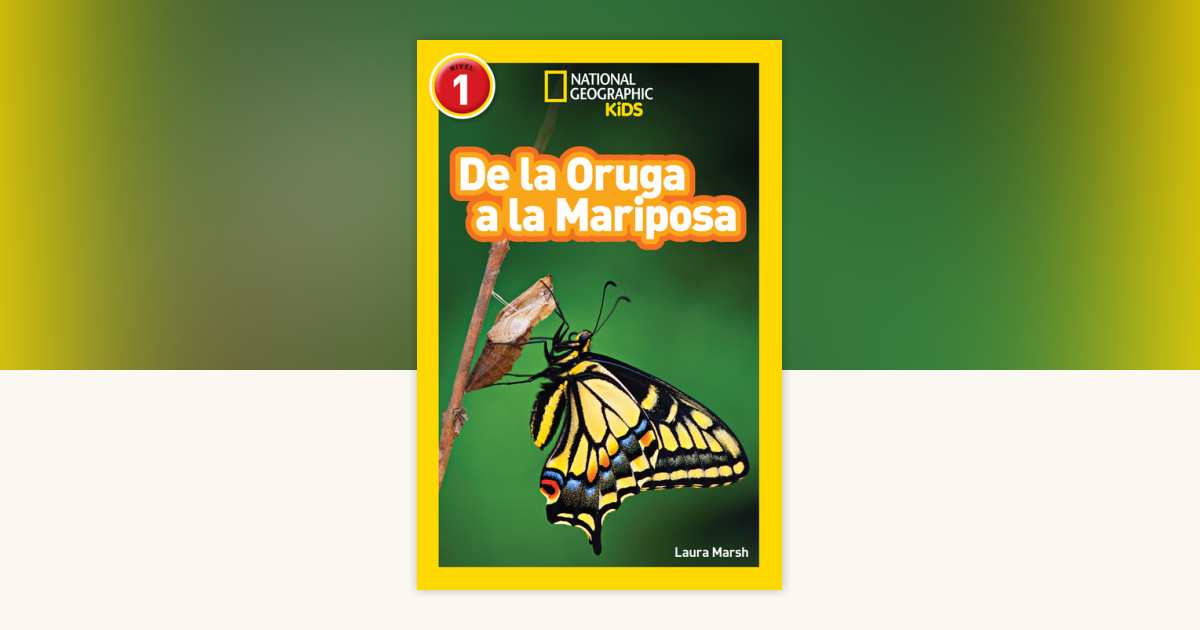De la Oruga a la Mariposa (Caterpillar to Butterfly) (National ...
