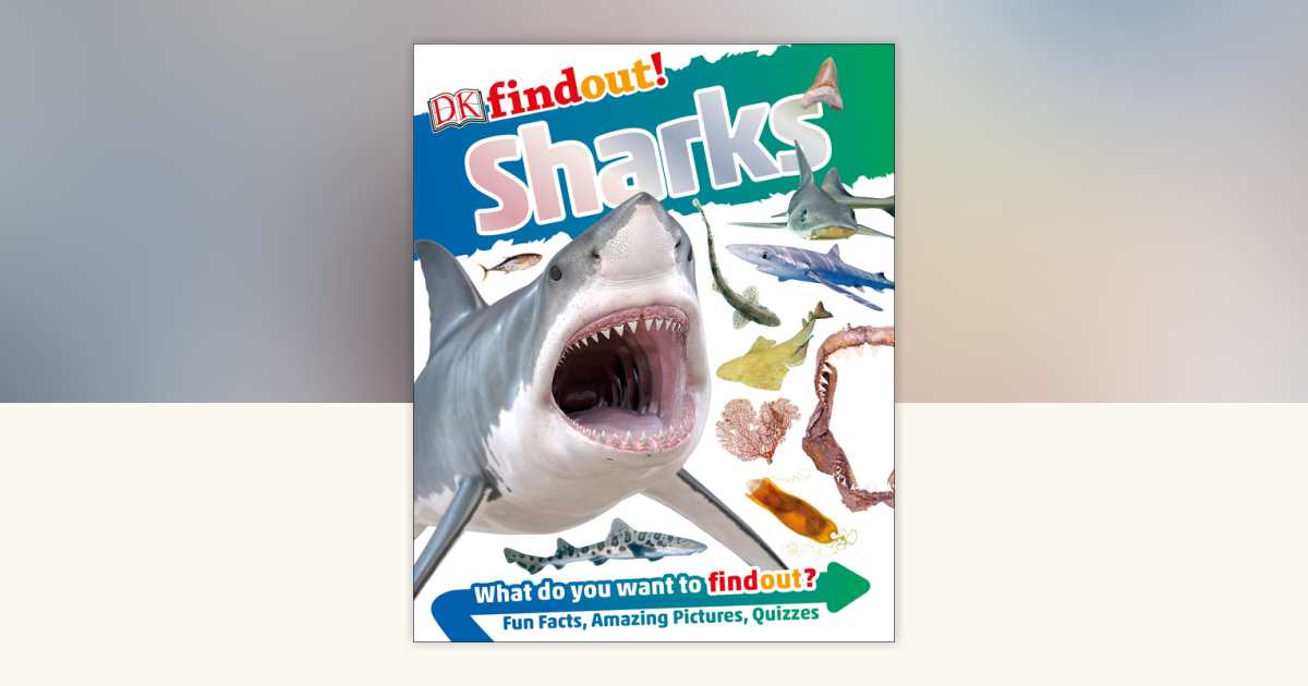 DKfindout! Sharks by DK: 9781465457516 | PenguinRandomHouse.com: Books