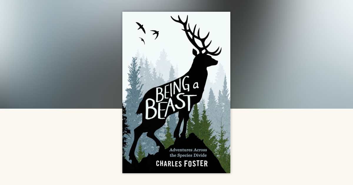 Being a Beast by Charles Foster: 9781524721947 | PenguinRandomHouse.com ...