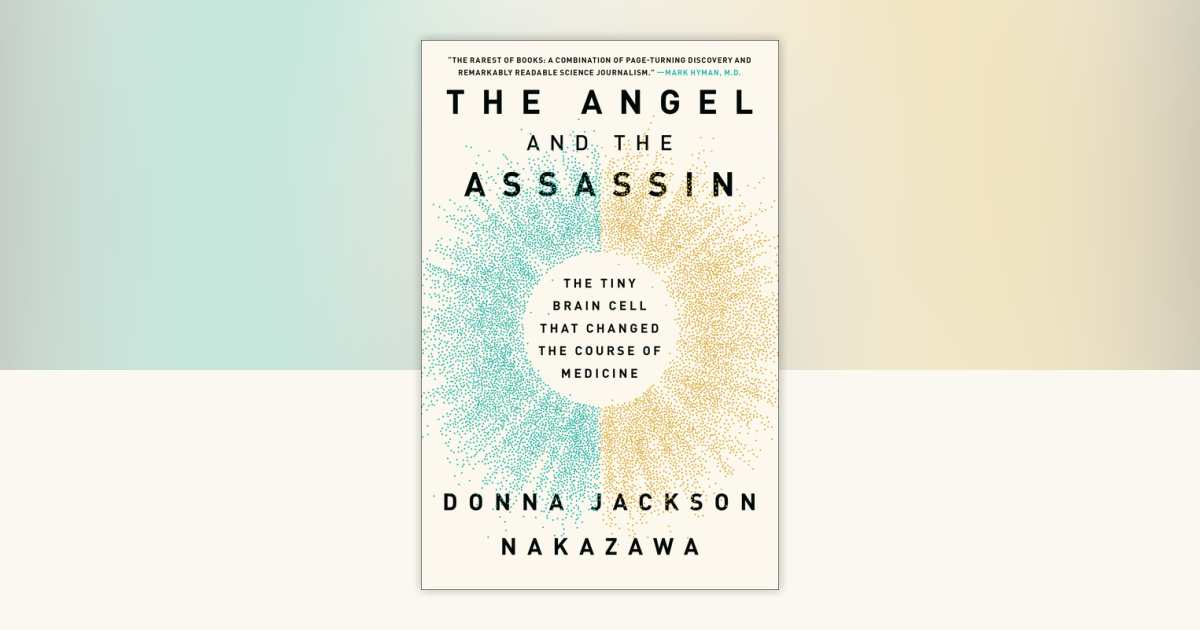 The Angel and the Assassin by Donna Jackson Nakazawa: 9781524799199 ...