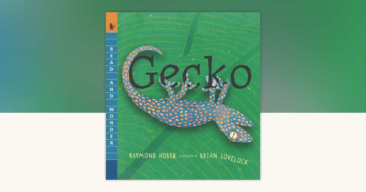 Gecko by Raymond Huber: 9781536233278 | PenguinRandomHouse.com: Books