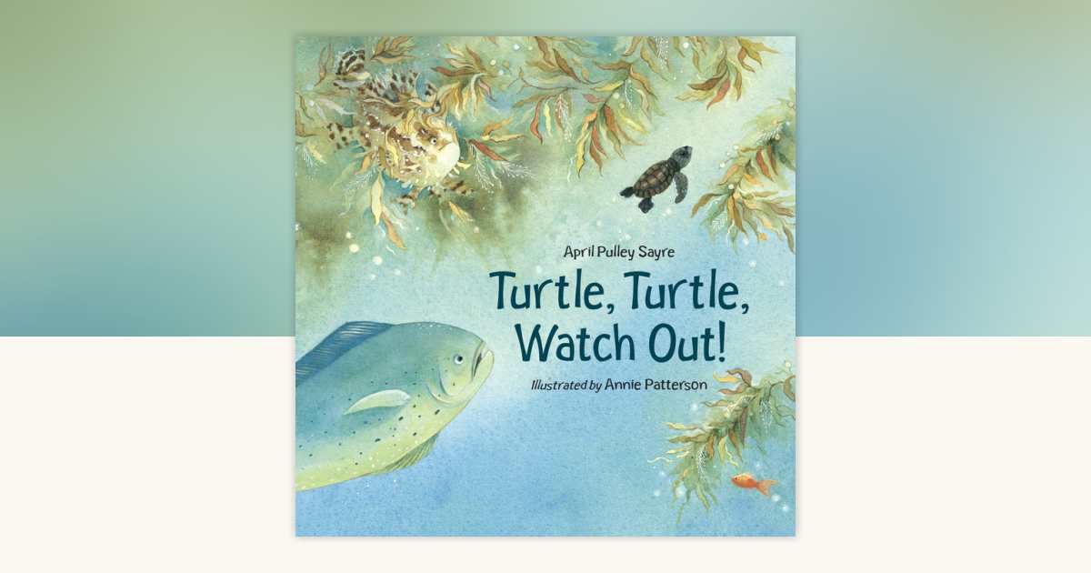 Turtle, Turtle, Watch Out! by April Pulley Sayre: 9781580891493 ...
