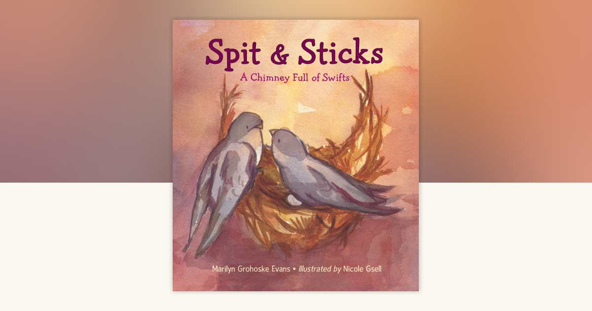 Spit & Sticks by Marilyn Grohoske Evans: 9781580895880 ...