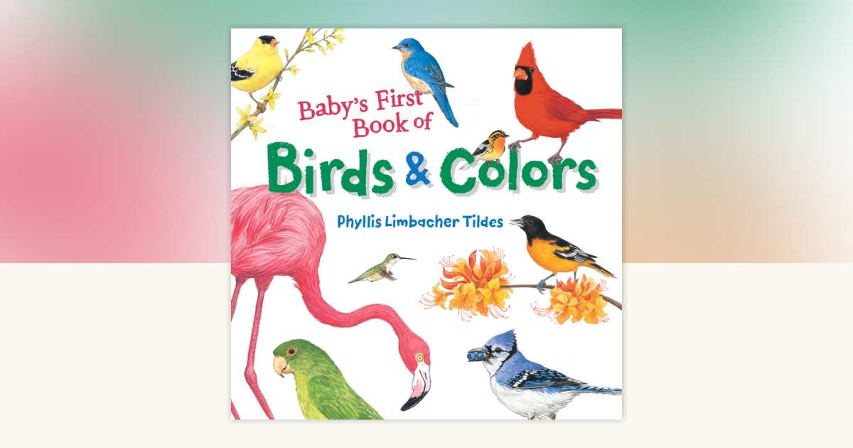 Baby's First Book of Birds & Colors by Phyllis Limbacher Tildes ...