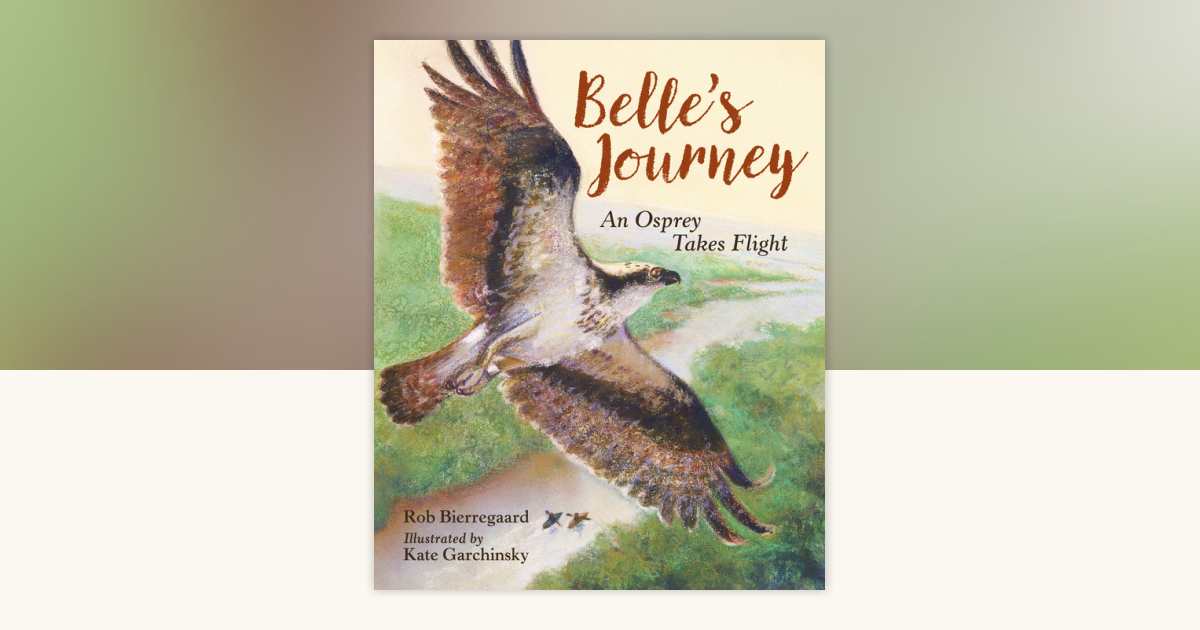 Belle's Journey by Rob Bierregaard: 9781580897921 | PenguinRandomHouse ...