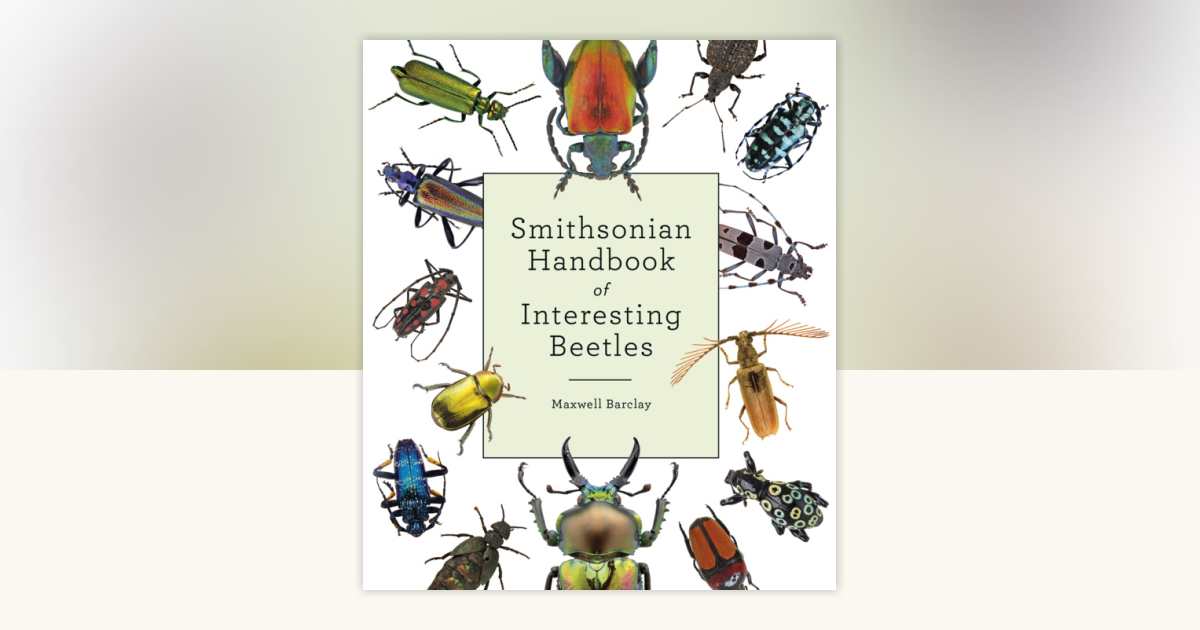 Smithsonian Handbook of Interesting Beetles by Maxwell Barclay ...