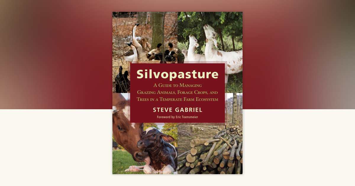 Silvopasture by Steve Gabriel: 9781603587310 | PenguinRandomHouse.com ...