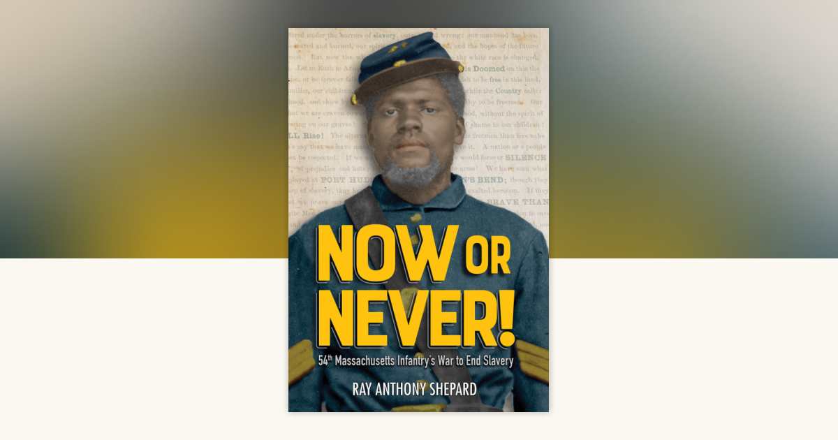Now or Never! by Ray Anthony Shepard: 9781629793405 ...