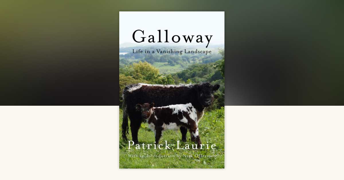 Galloway by Patrick Laurie: 9781640095007 | PenguinRandomHouse.com: Books