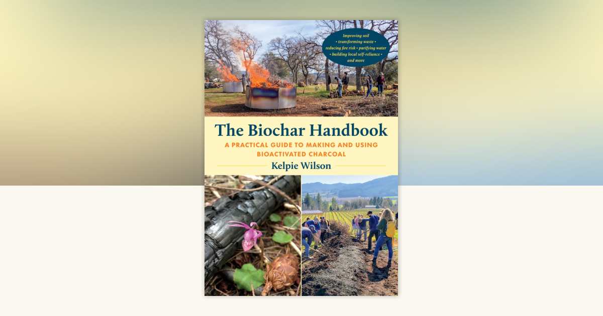 The Biochar Handbook by Kelpie Wilson: 9781645022312 ...