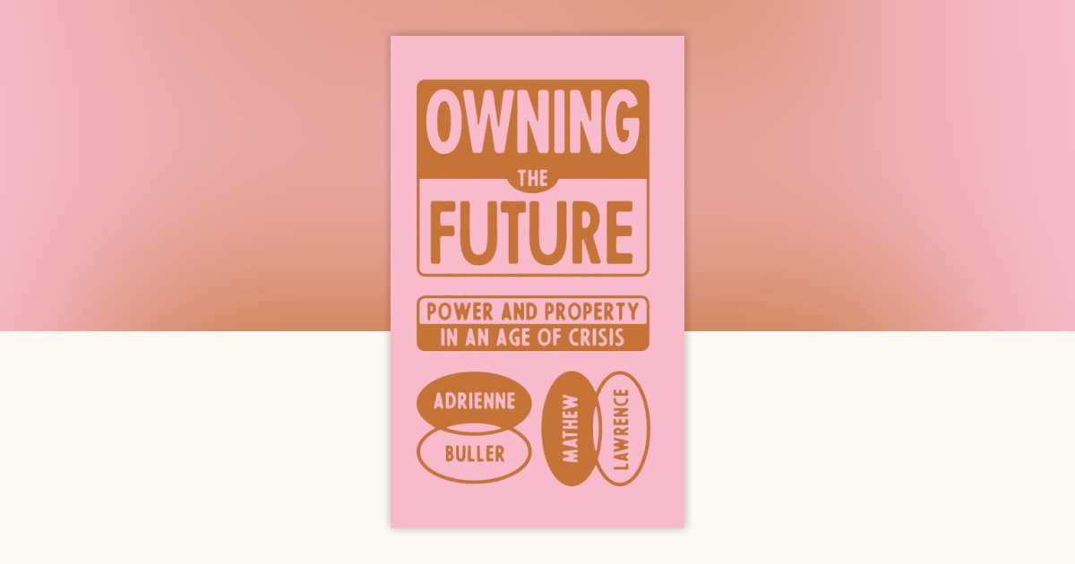 Owning the Future by Mathew Lawrence, Adrienne Buller: 9781839765803 ...