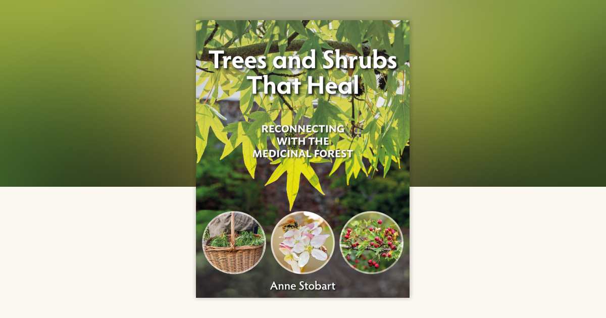 Trees and Shrubs that Heal by Anne Stobart: 9781856232623 ...