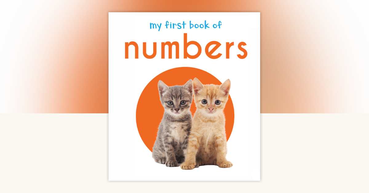 My First Book of Numbers: First Board Book by Wonder House Books ...
